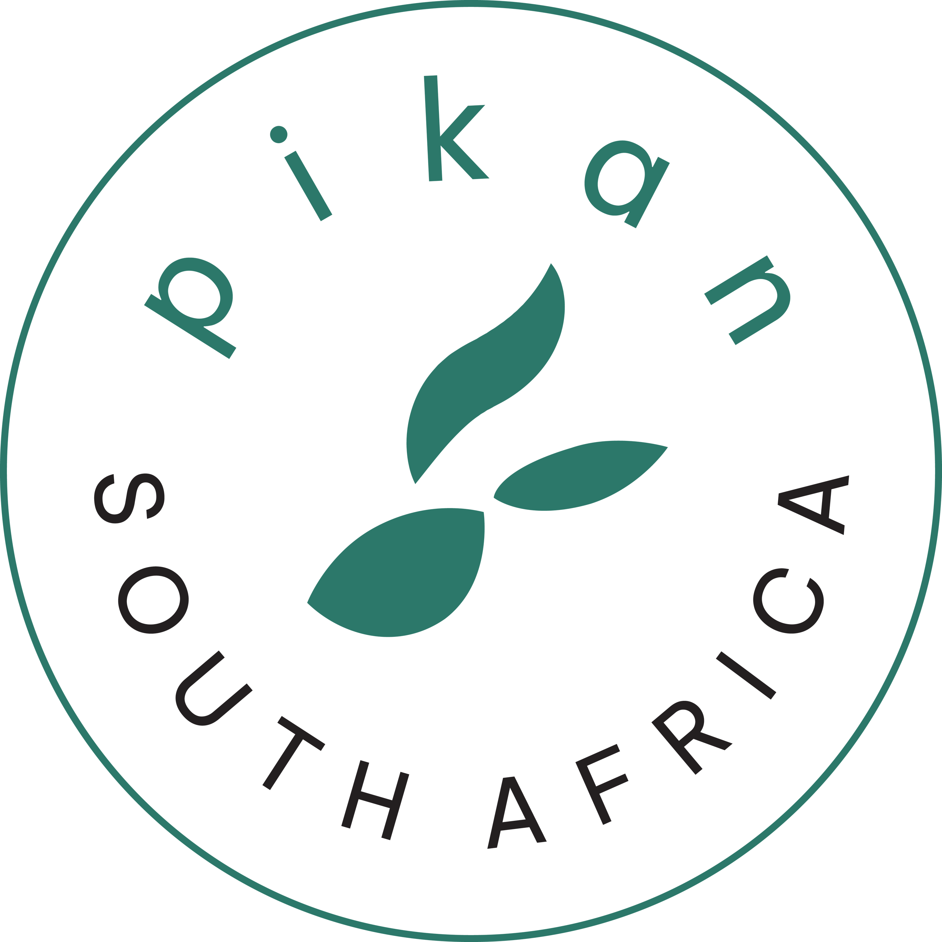 Pikan (ピカン）南アフリカ産生ピーカンナッツ – Wholesum Japan (ホールサム・ジャパン)